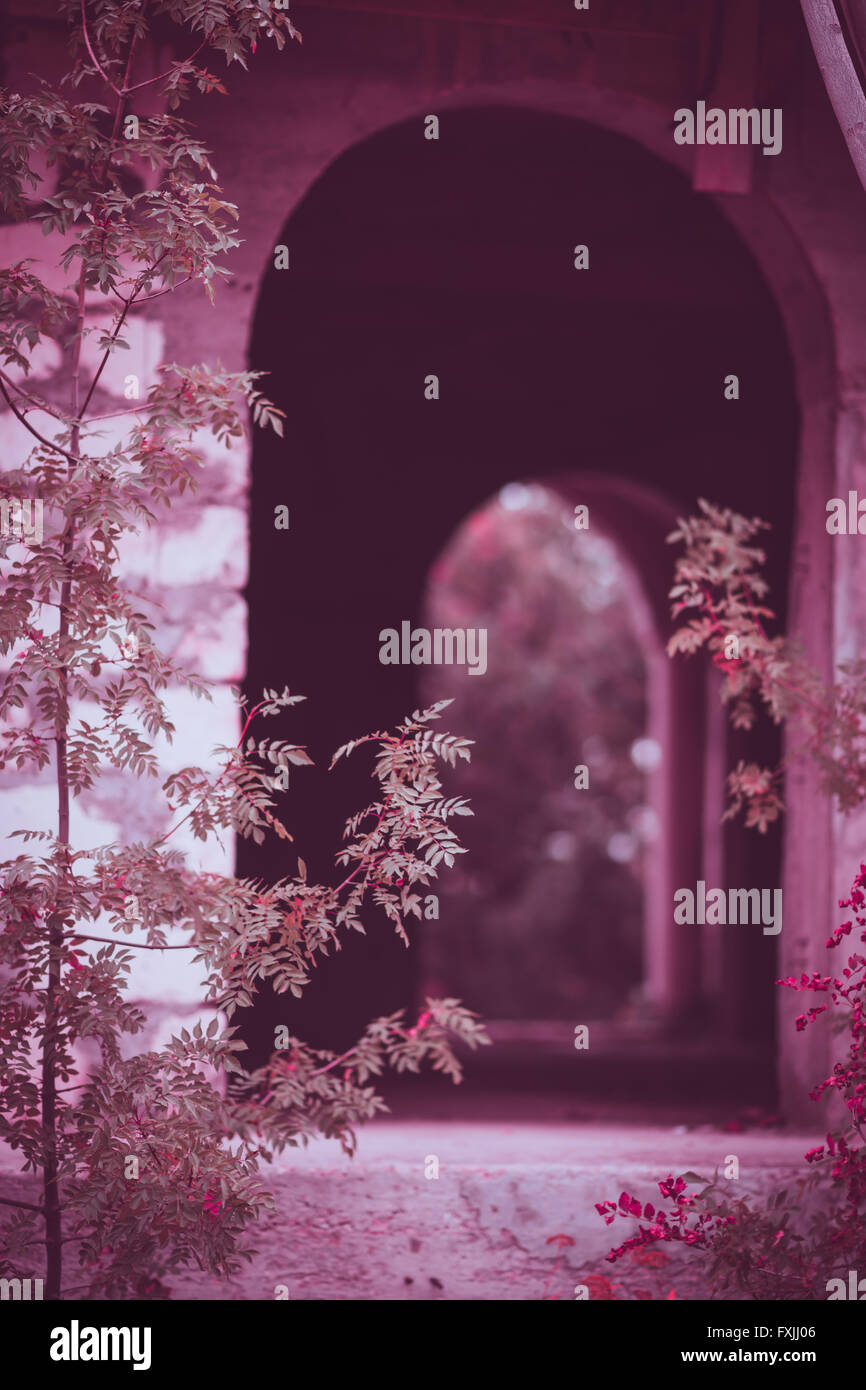 Gleams High Resolution Stock Photography and Images - Alamy