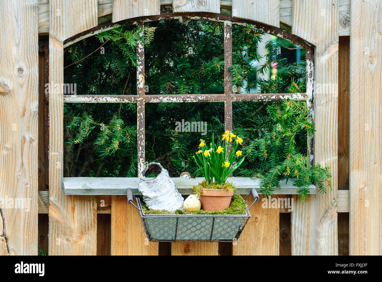 Old barn window in a wooden garden fence with decoration in a wicker ...