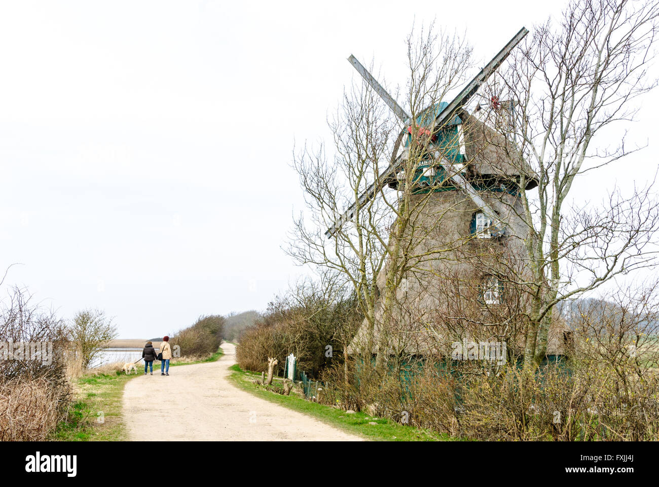 Thatched historic windmill Charlotte at the Geltinger Noor Stock Photo ...