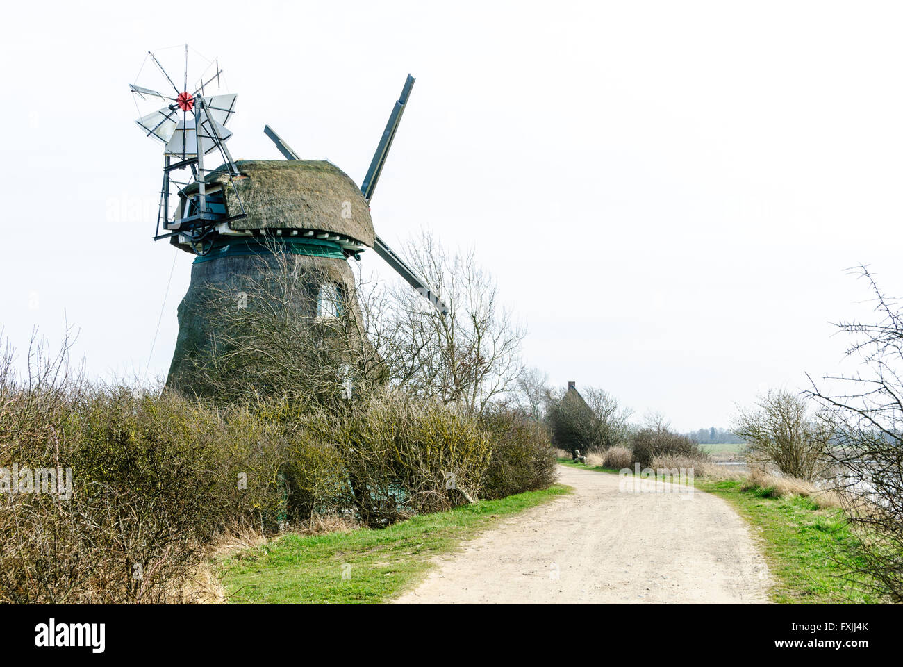 Thatched historic windmill Charlotte at the Geltinger Noor Stock Photo ...