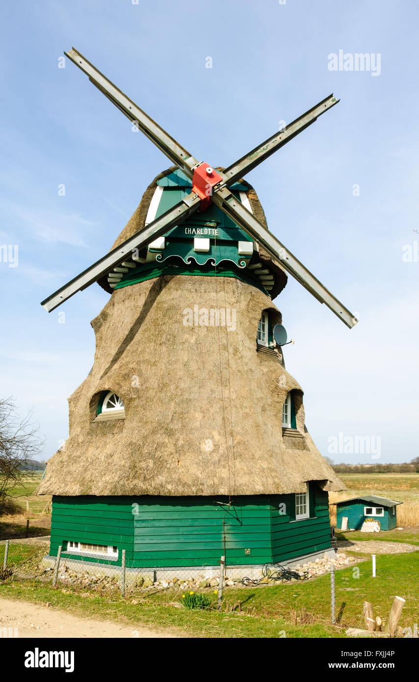 Thatched historic windmill Charlotte at the Geltinger Noor Stock Photo ...