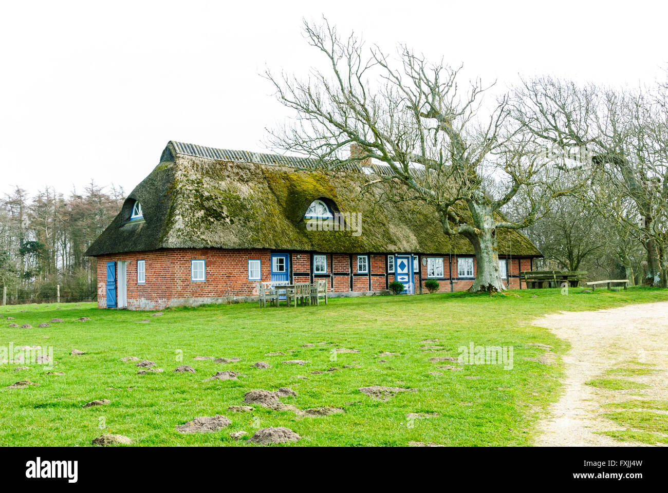 Half timbered thatched cottage hi-res stock photography and images - Alamy