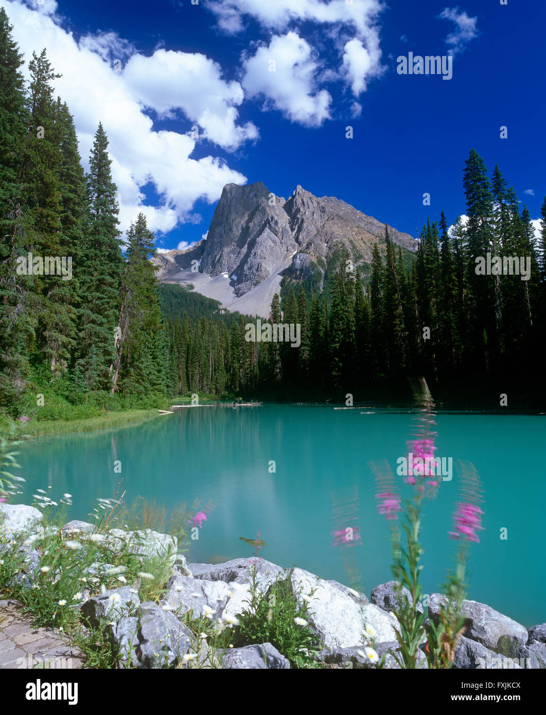 Yoho national park view mountains hi-res stock photography and images ...