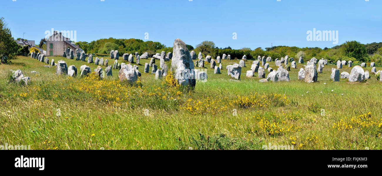 Panoramic photo of famous standing stones at Carnac in the Morbihan ...