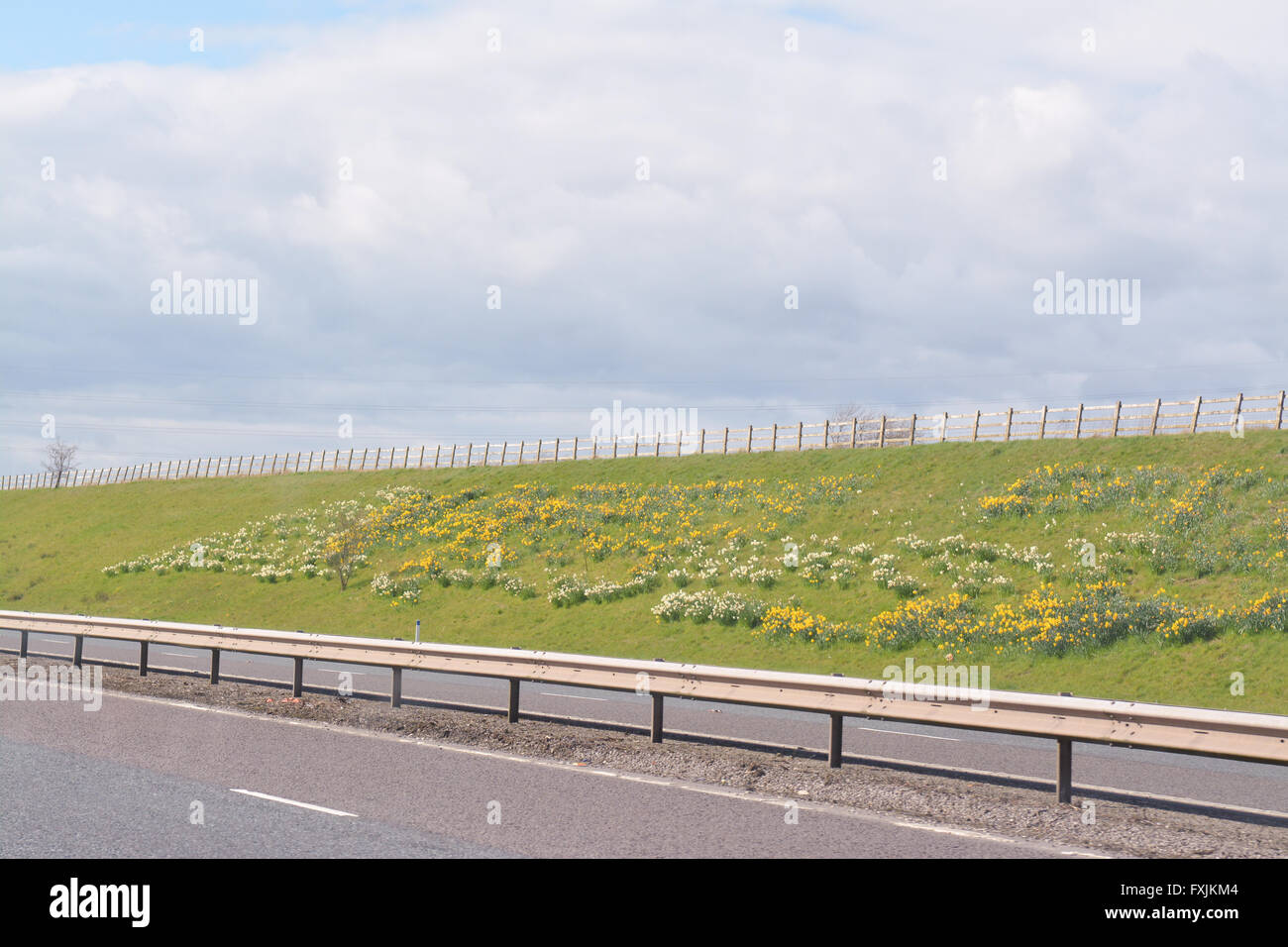 Motorway verge flowers hi-res stock photography and images - Alamy