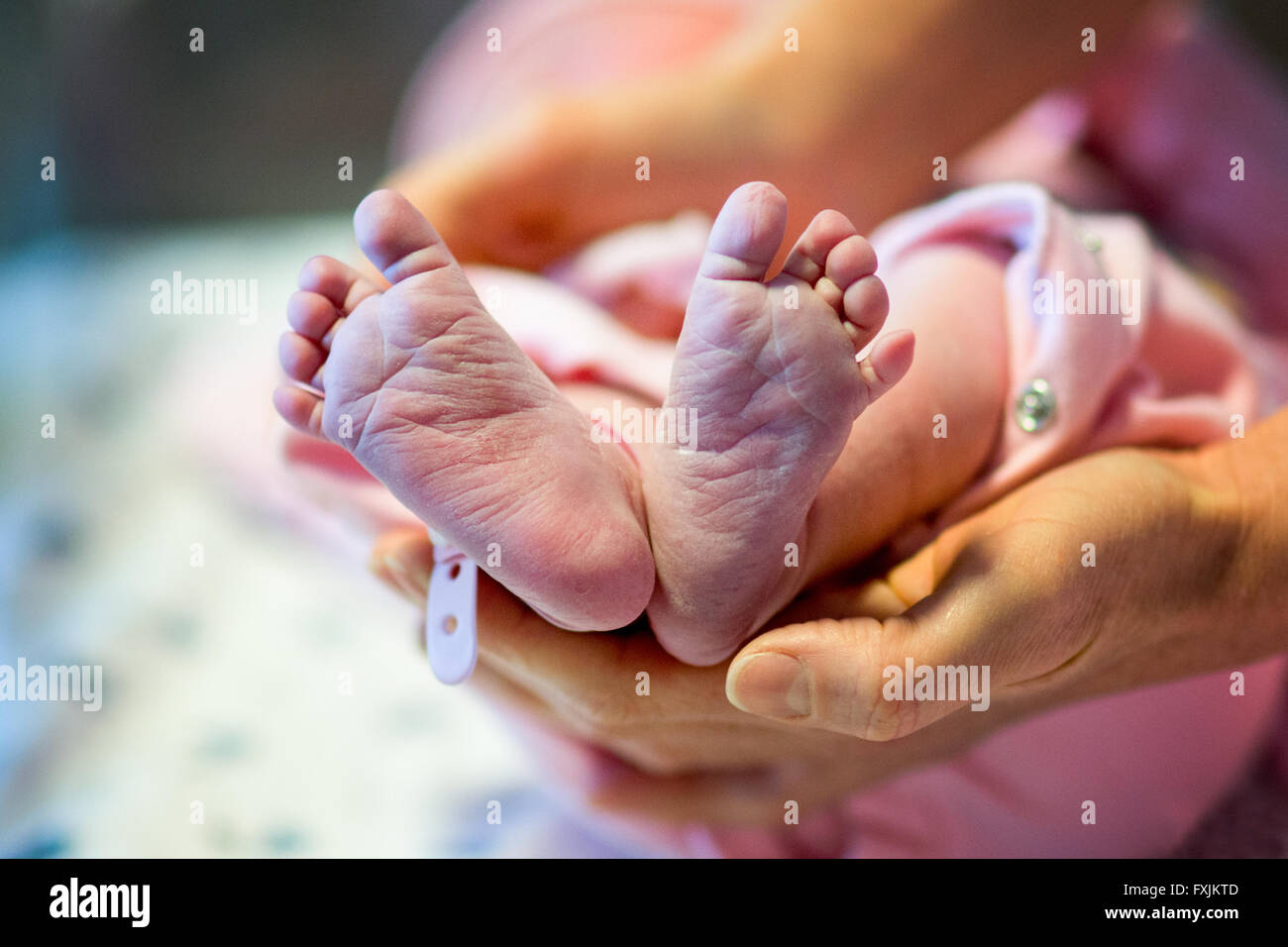 Feet of a new born baby and hands of her mother Stock Photo - Alamy