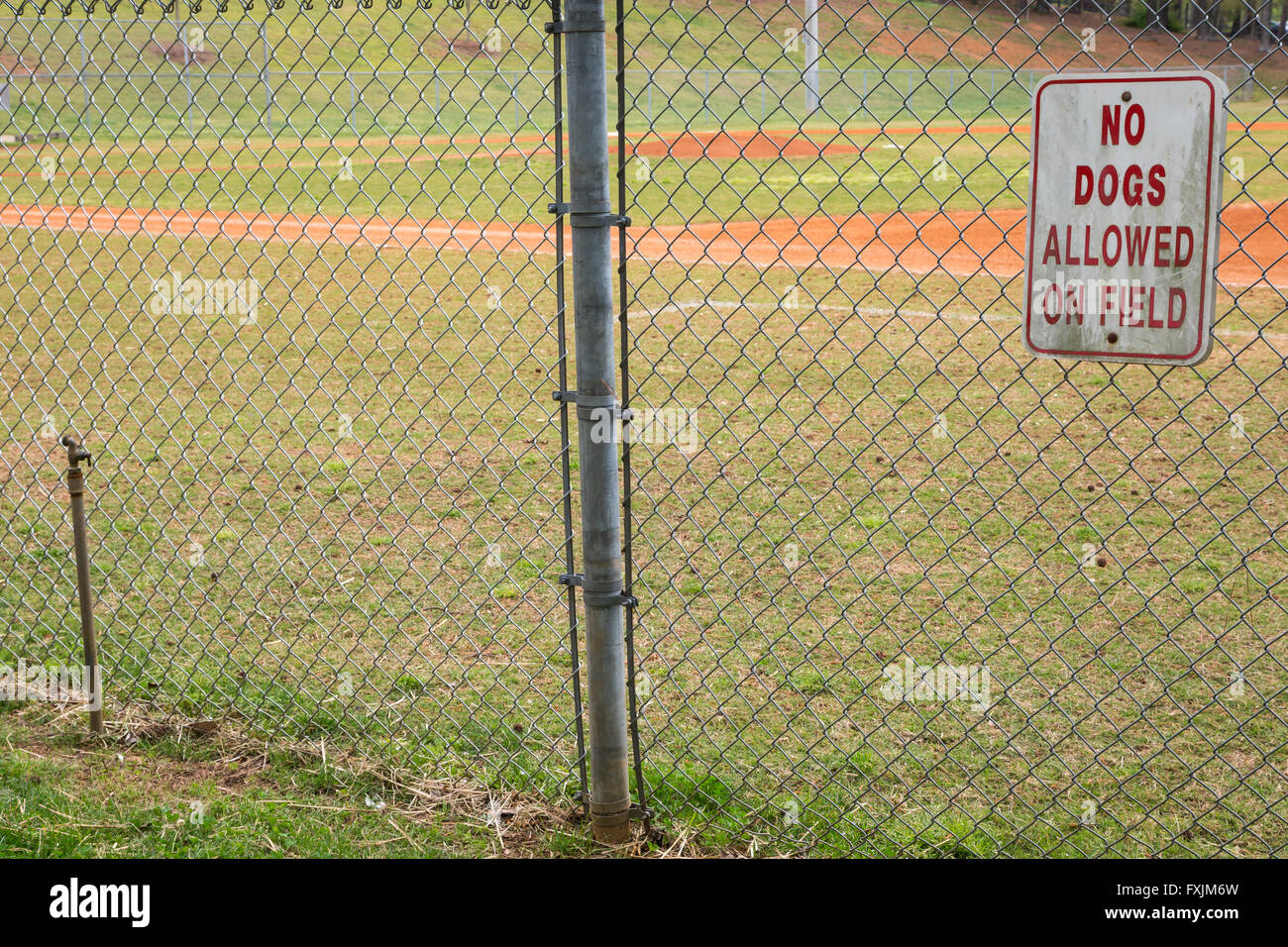 Chain-link fence gate at ball park Stock Photo - Alamy