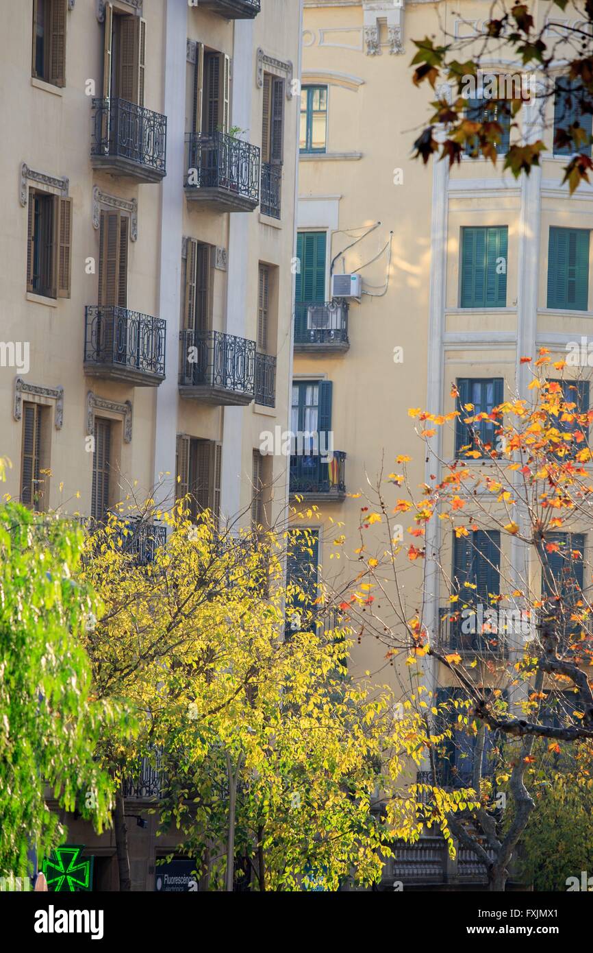 Decorative balconies in the heart of Barcelona, Spain Stock Photo - Alamy