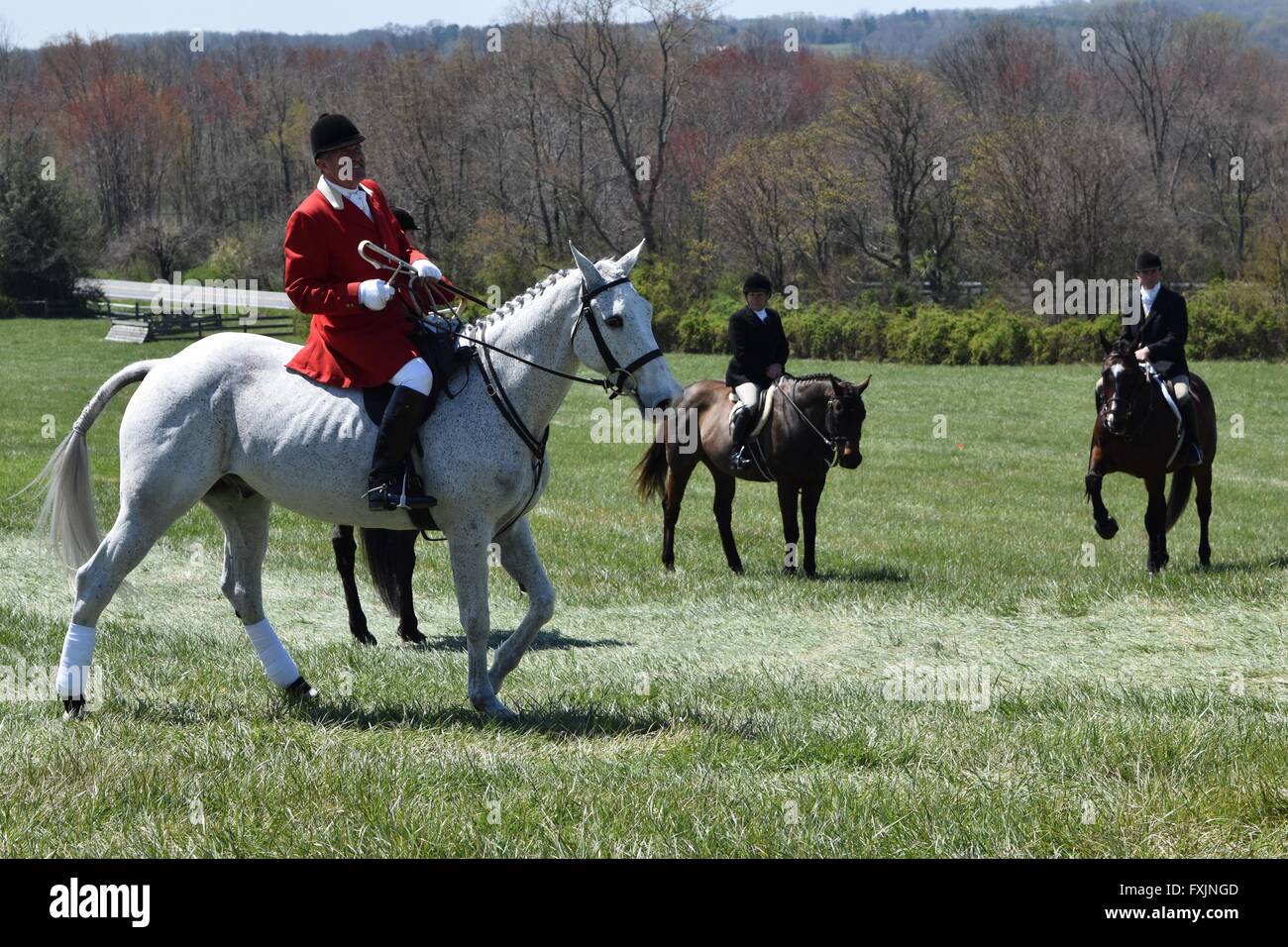 Fox hunter at My Lady's Manor Steeplechase Races in Monkton, MD Stock ...