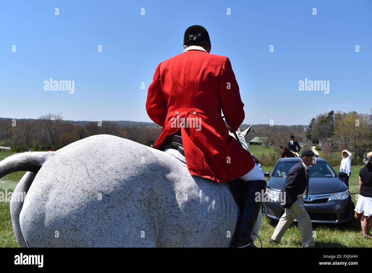 Fox hunter at My Lady's Manor Steeplechase Races in Monkton, MD Stock ...