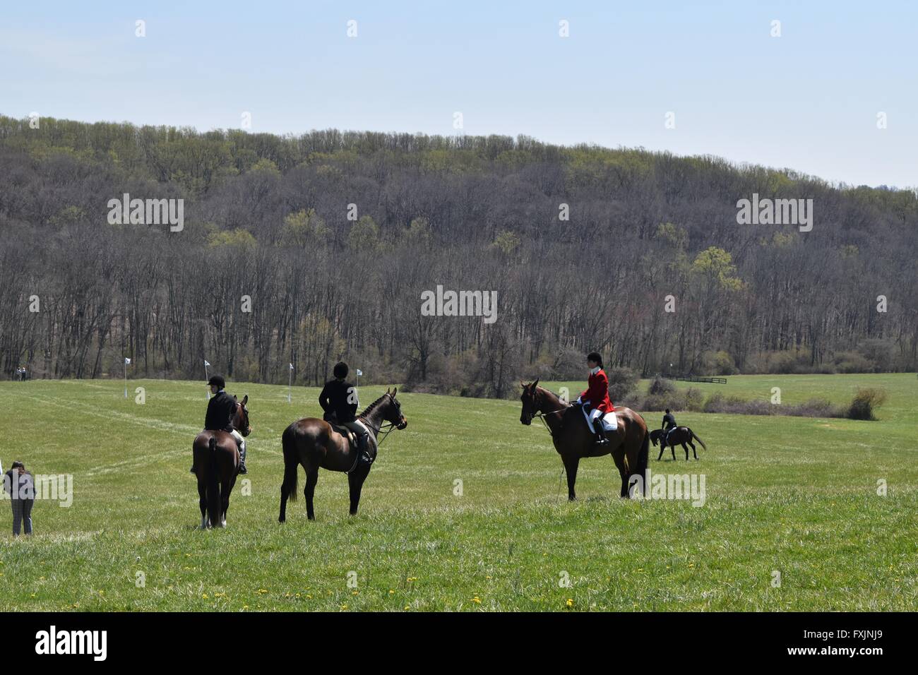 Fox Hunters rider at My Lady's Manor Steeplechase Races in Monkton, MD ...