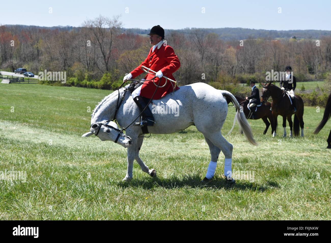 Fox hunter at My Lady's Manor Steeplechase Races in Monkton, MD Stock ...