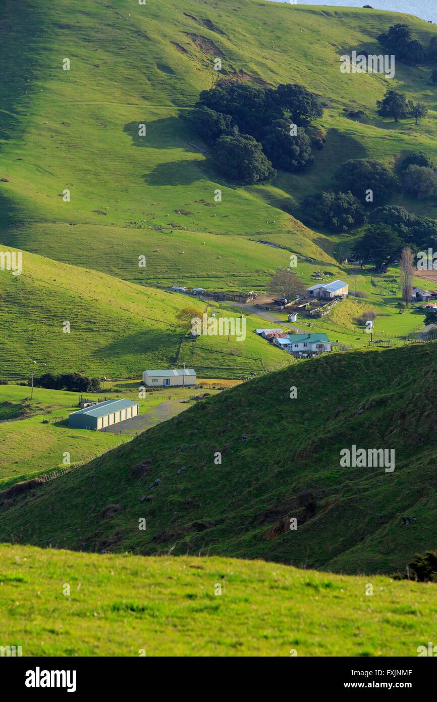 Agriculture farm farming coromandel hi-res stock photography and images ...