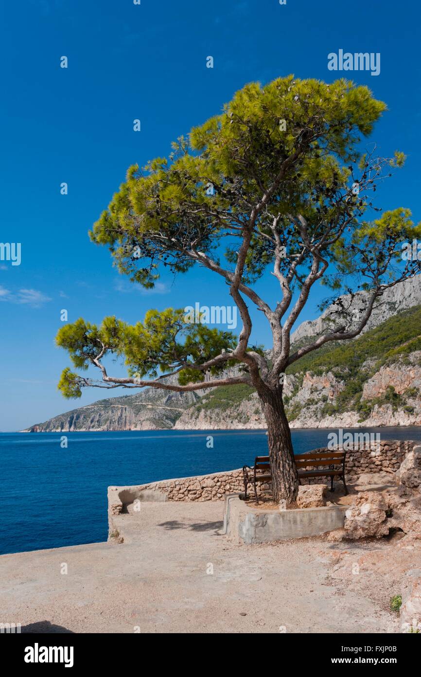 Sveta nedjelja Hvar island Croatia promenade tree sunshine bench Stock ...