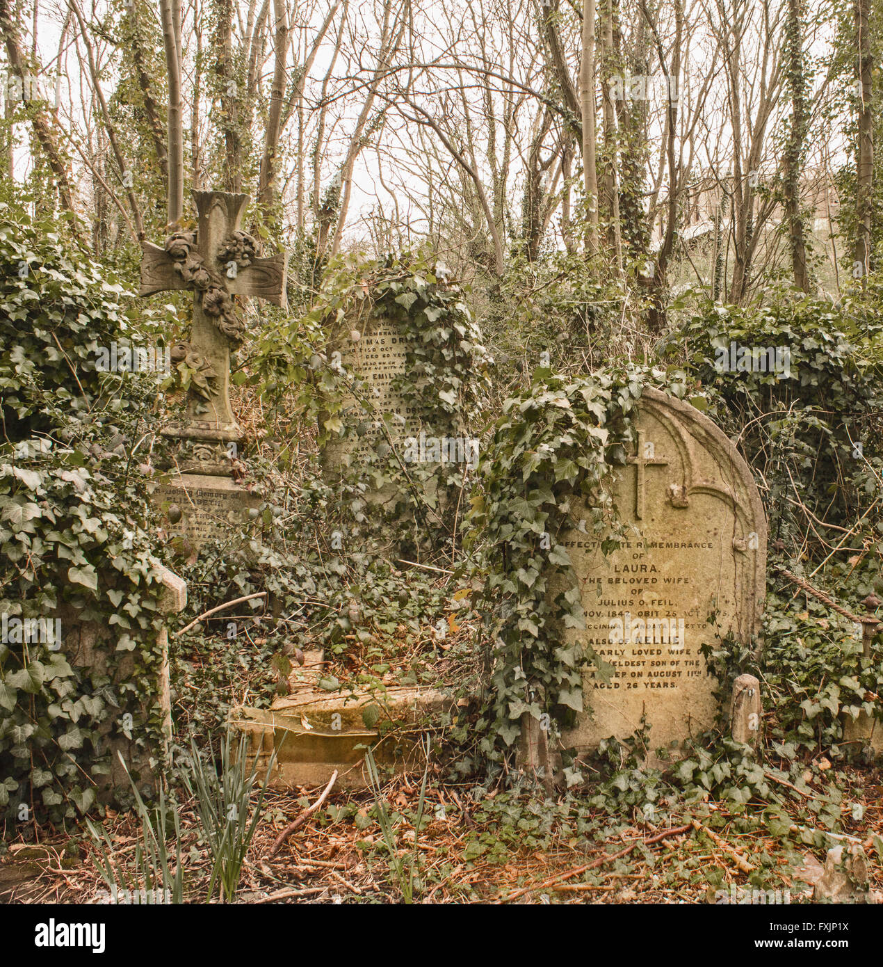 Overgrown with foliage hi-res stock photography and images - Alamy