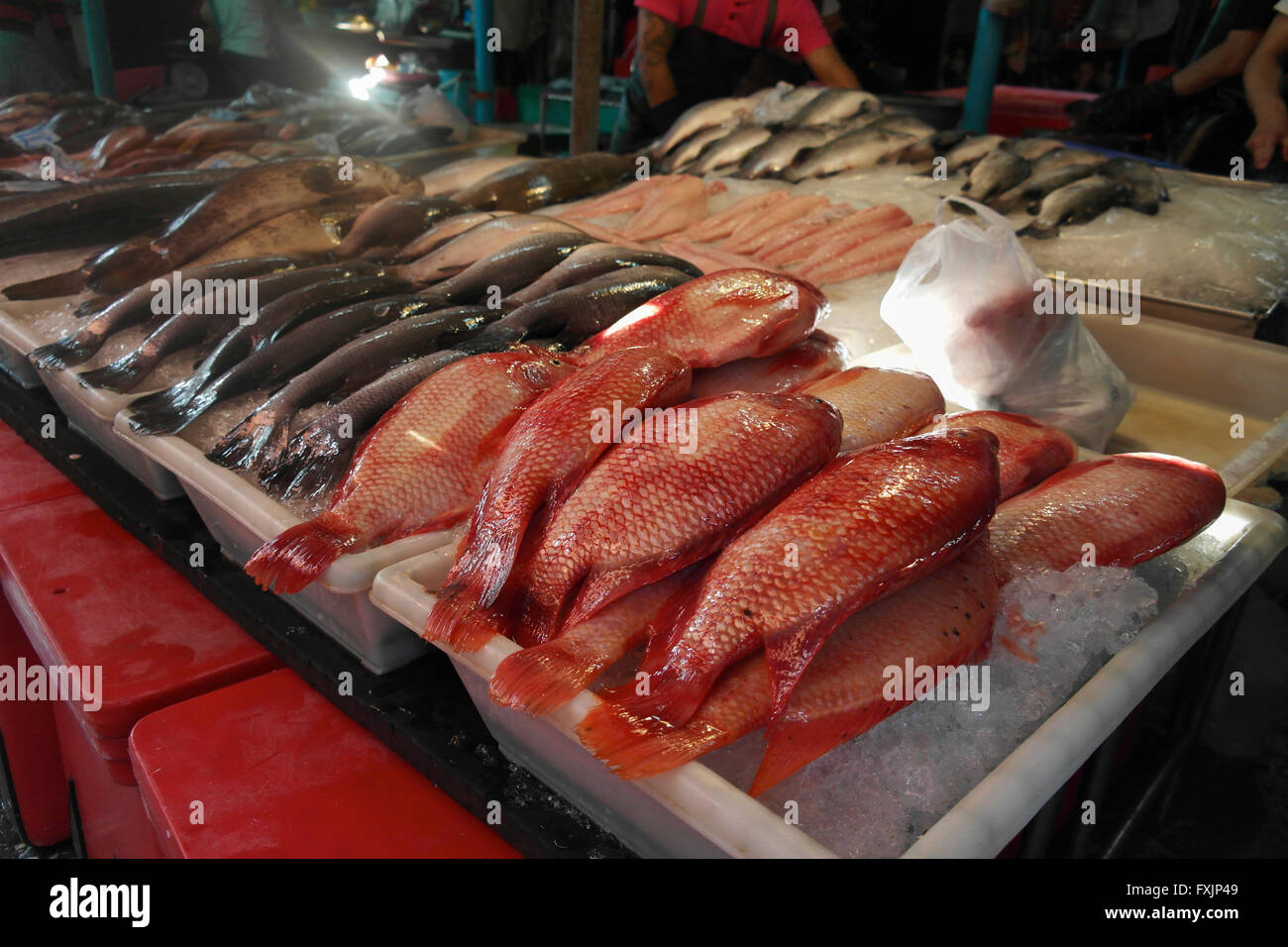 Khlong toei market in bangkok hi-res stock photography and images - Alamy