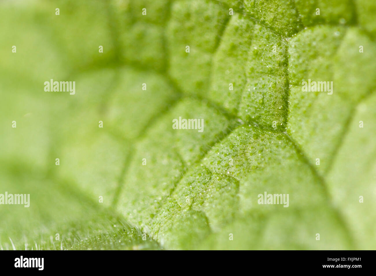 Blured out texture hi-res stock photography and images - Alamy