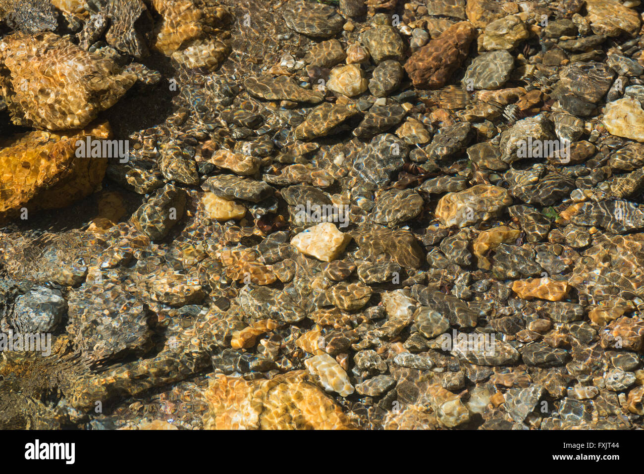 Crystal Clear Creek with Rocky Bottom in the Great Smoky Mountains ...
