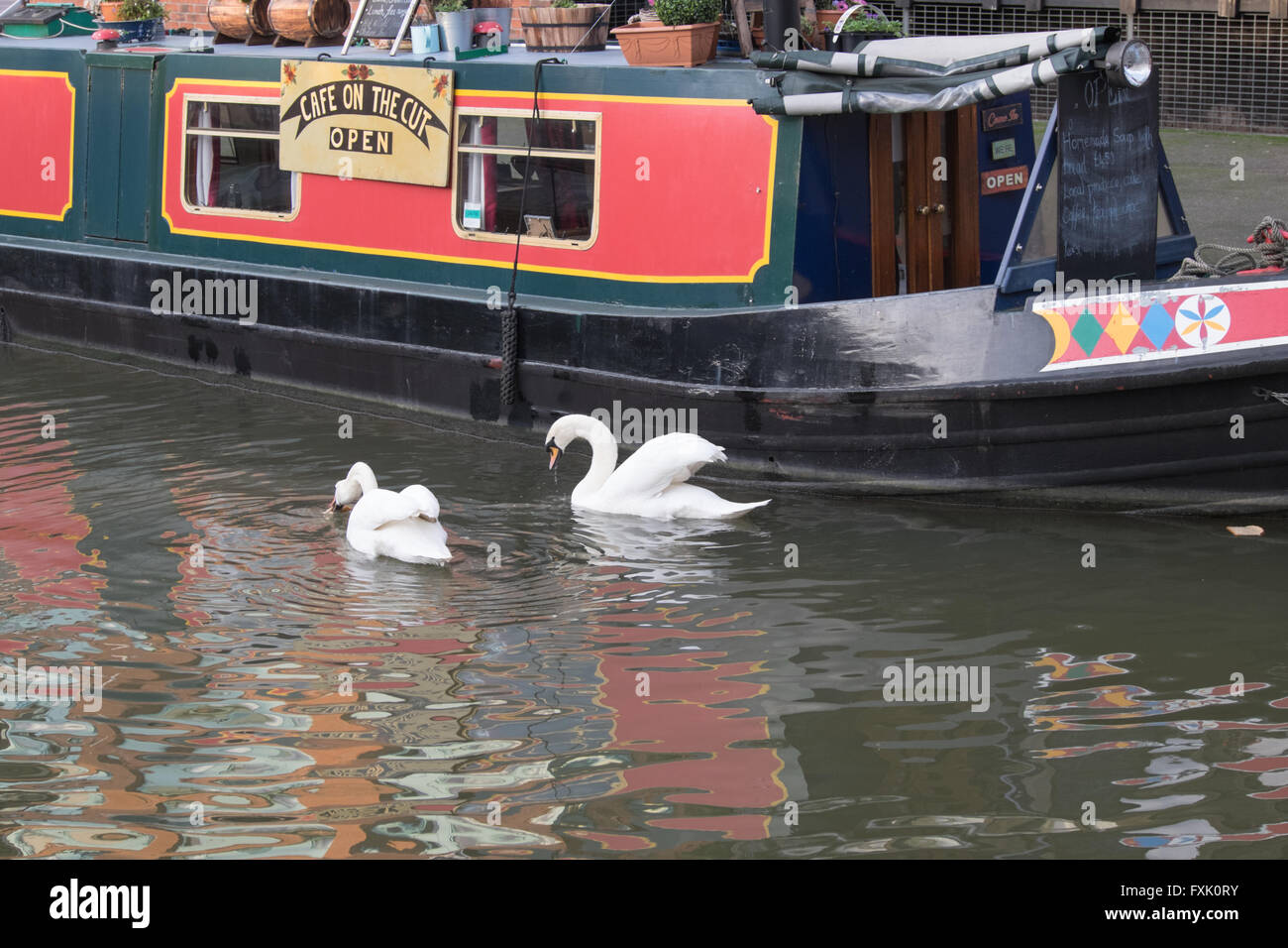 Swans and canal boat in Gloucester Docks Stock Photo - Alamy