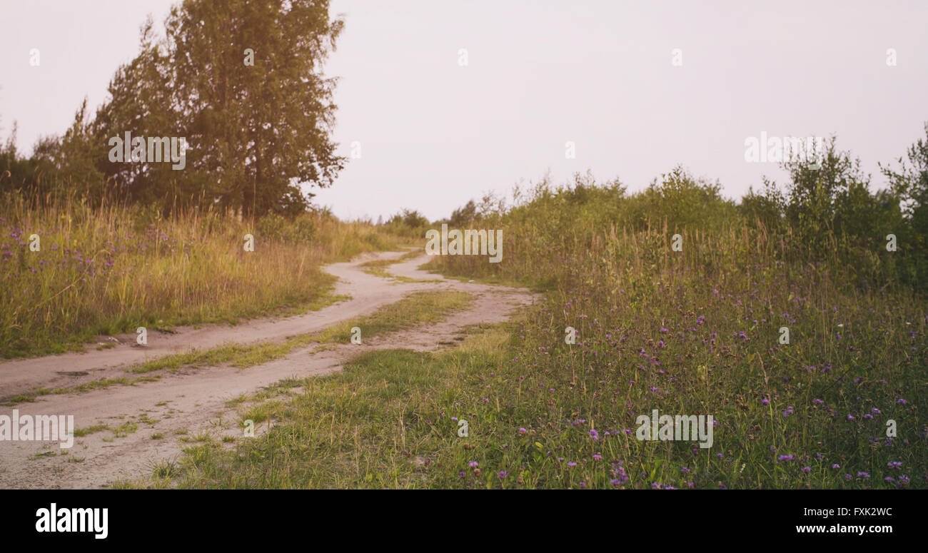 Small country farm road between the fields hi-res stock photography and ...