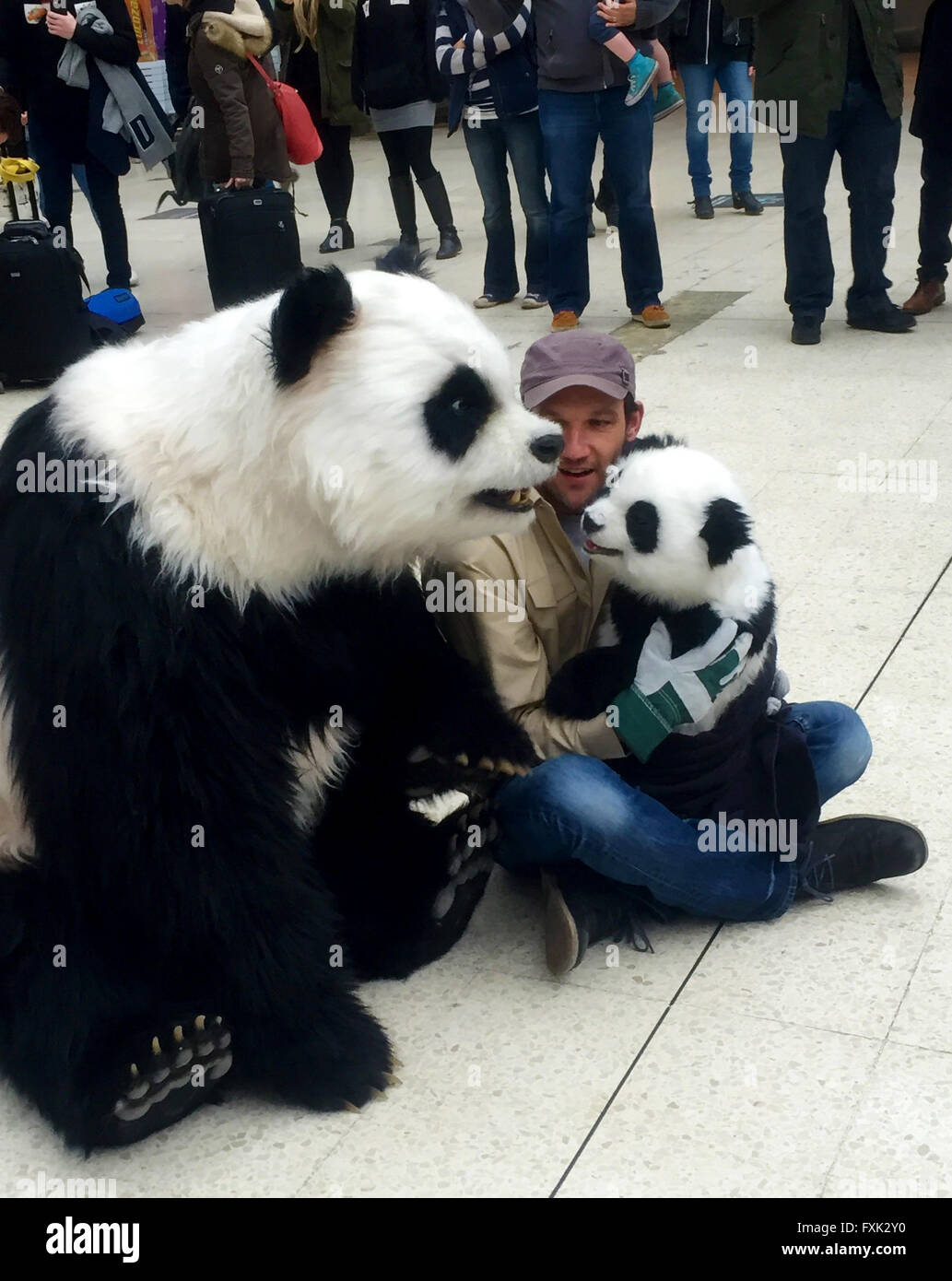 Chessington World of Adventures bring lifelike animatronic Panda's to ...