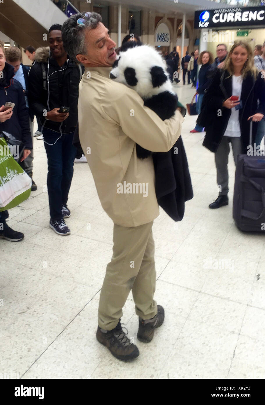 Chessington World of Adventures bring lifelike animatronic Panda's to ...