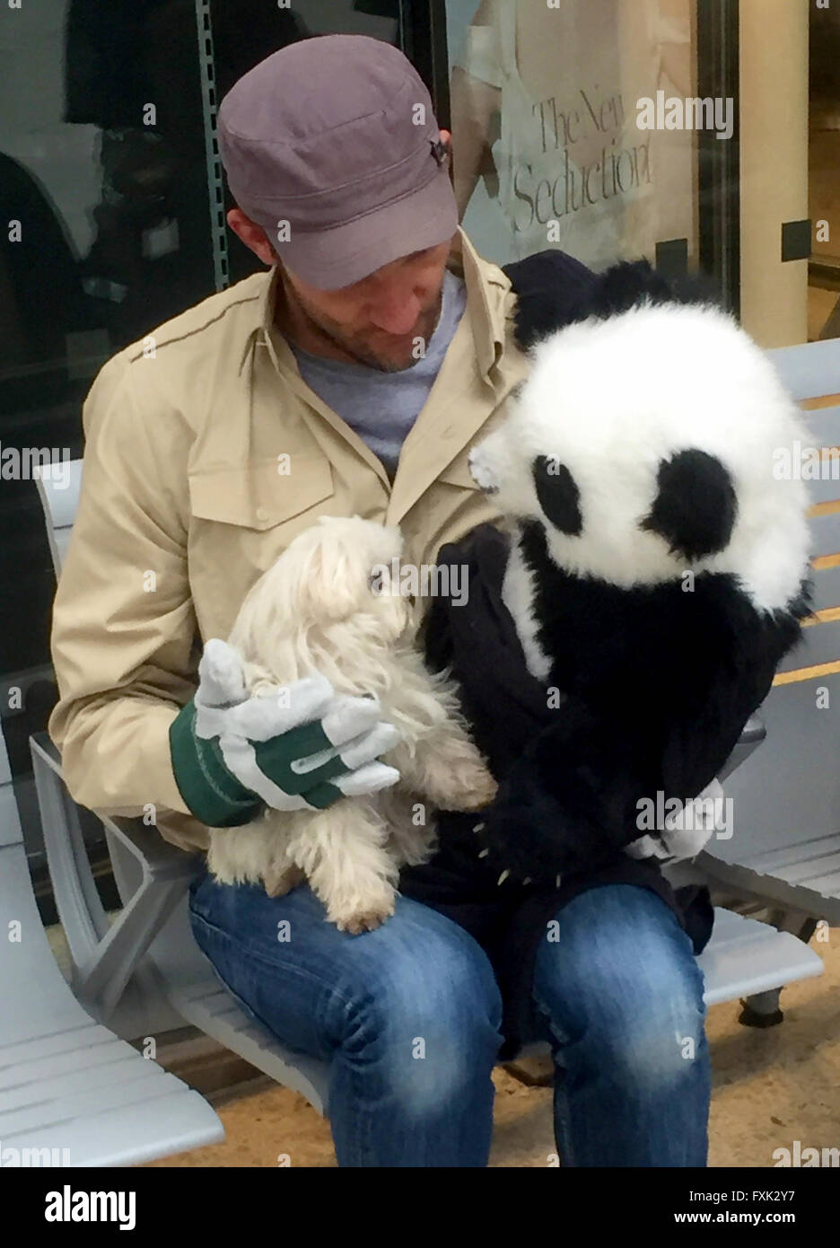 Chessington World of Adventures bring lifelike animatronic Panda's to ...