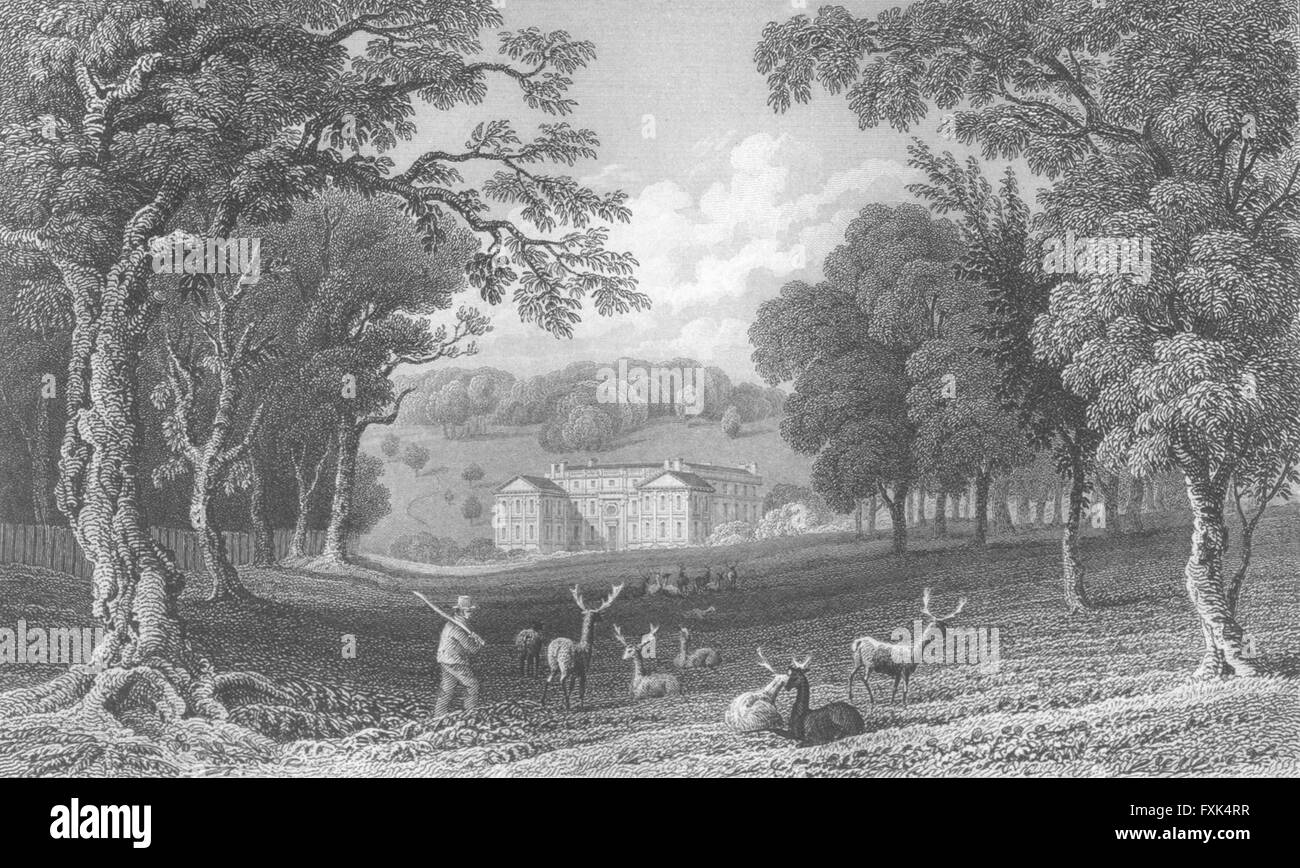 Lord yarboroughs hi-res stock photography and images - Alamy