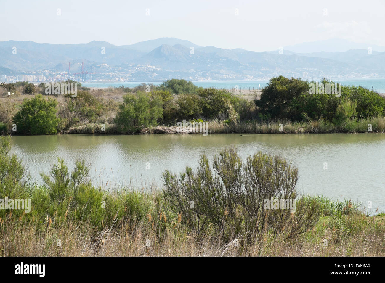 Guadalhorce river. Málaga (Spain Stock Photo - Alamy
