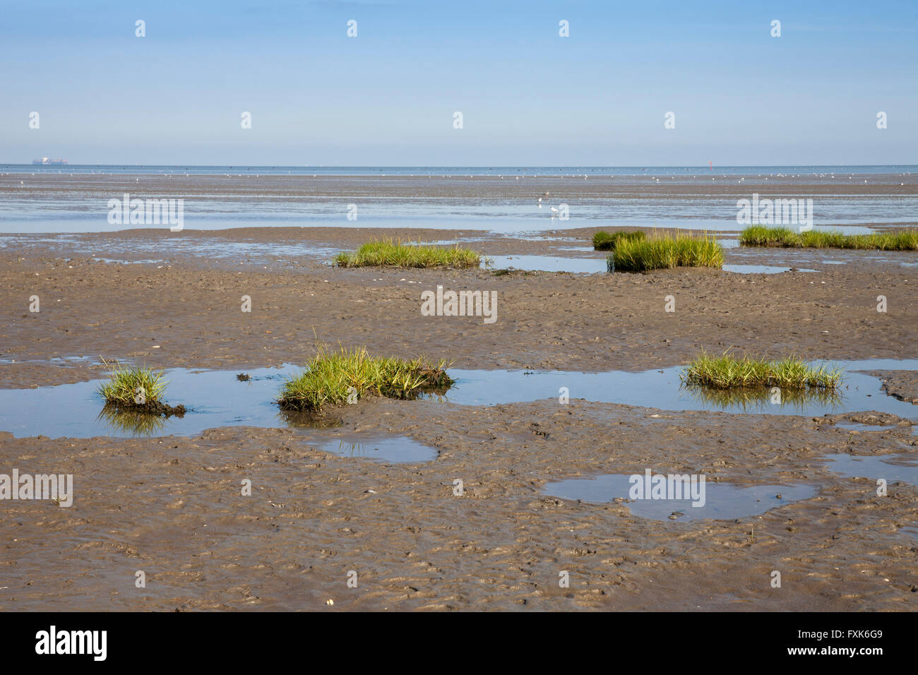 Low tide in the Lower Saxon Wadden Sea National Park, North Sea, Lower ...