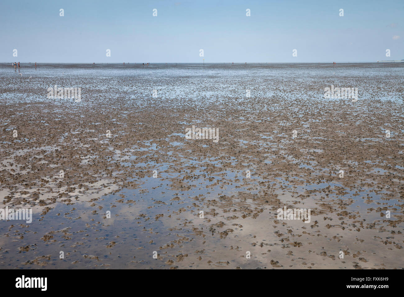 Low tide in the Lower Saxon Wadden Sea National Park, North Sea, Lower ...