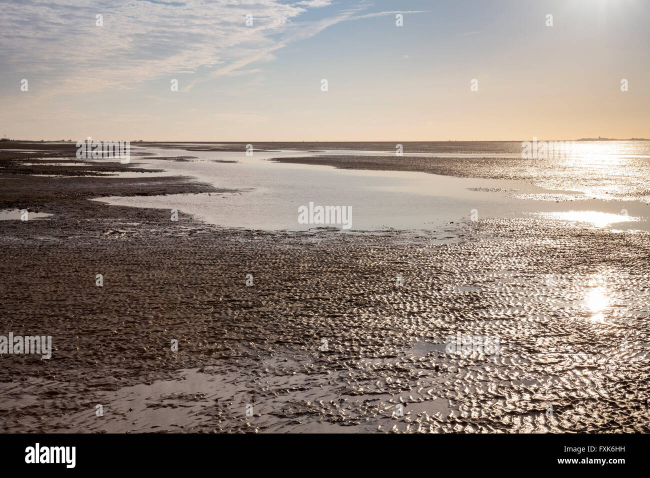 Evening mood in the Lower Saxon Wadden Sea National Park at low tide ...