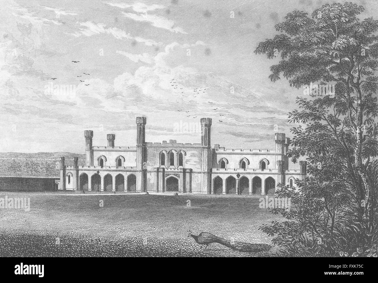 Peacock hall hi-res stock photography and images - Alamy