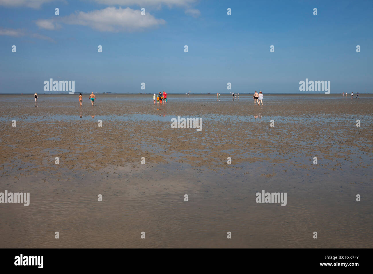 Walkers in the mudflats, Ebbe in Lower Saxon Wadden Sea National Park ...