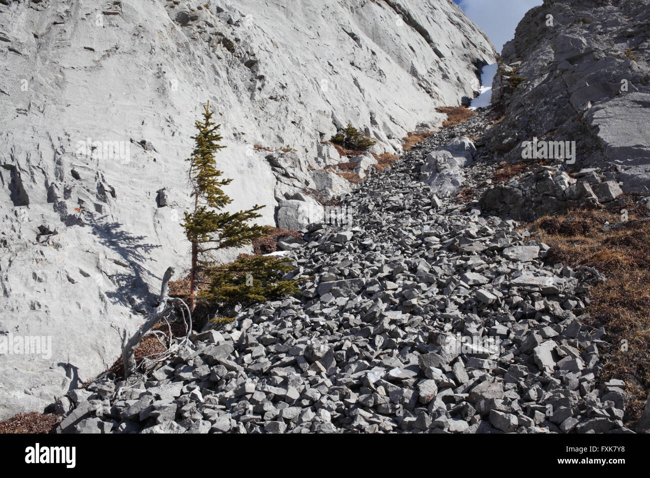 Rock slide high above hwy 40 in Kananaskis Country in Alberta Stock ...