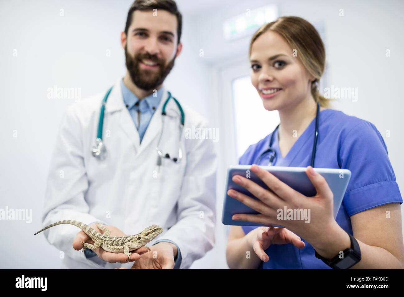 Vet examining a lizard with digital tablet Stock Photo - Alamy