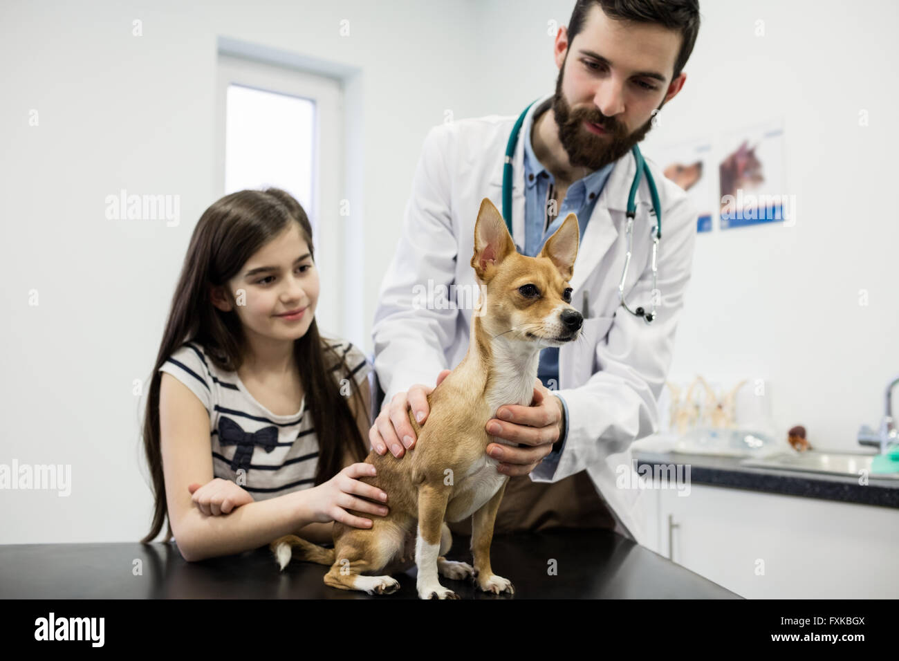 Vet examining dog with its owner Stock Photo - Alamy