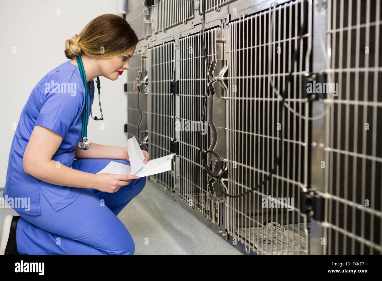 Rabbit cage hi-res stock photography and images - Alamy