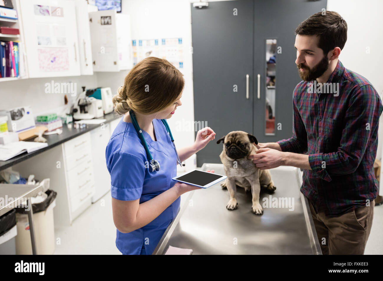 Vet examining dog with its owner Stock Photo - Alamy