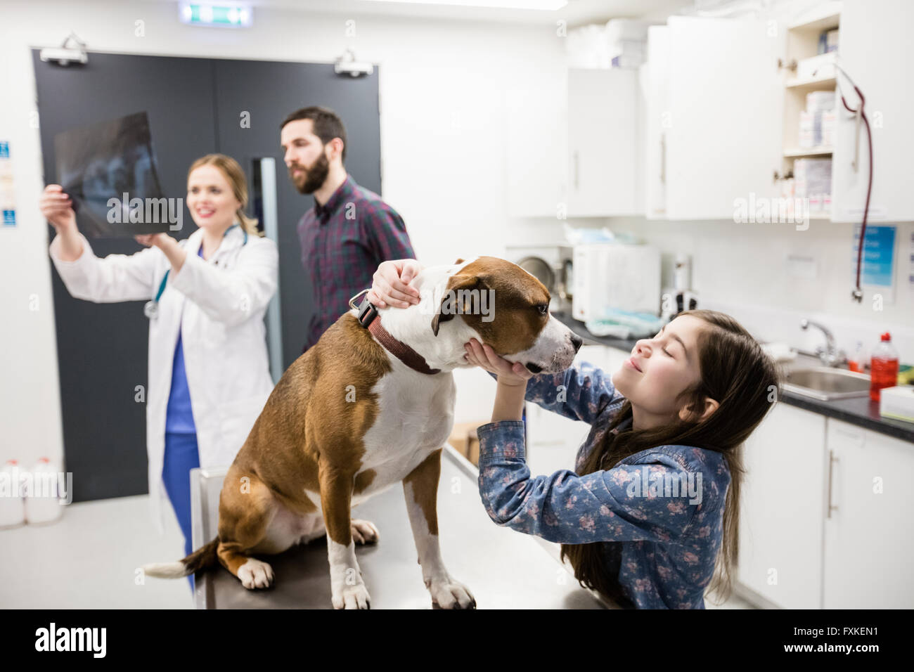 Girl playing with her pet dog while vet discussing x-ray in background ...