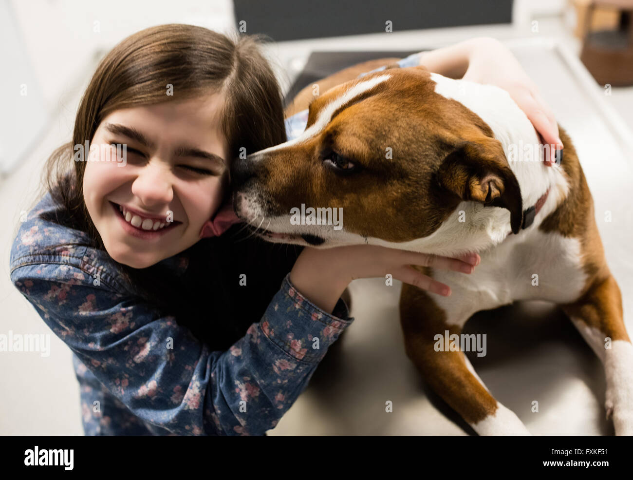 Girl playing with her pet dog Stock Photo - Alamy