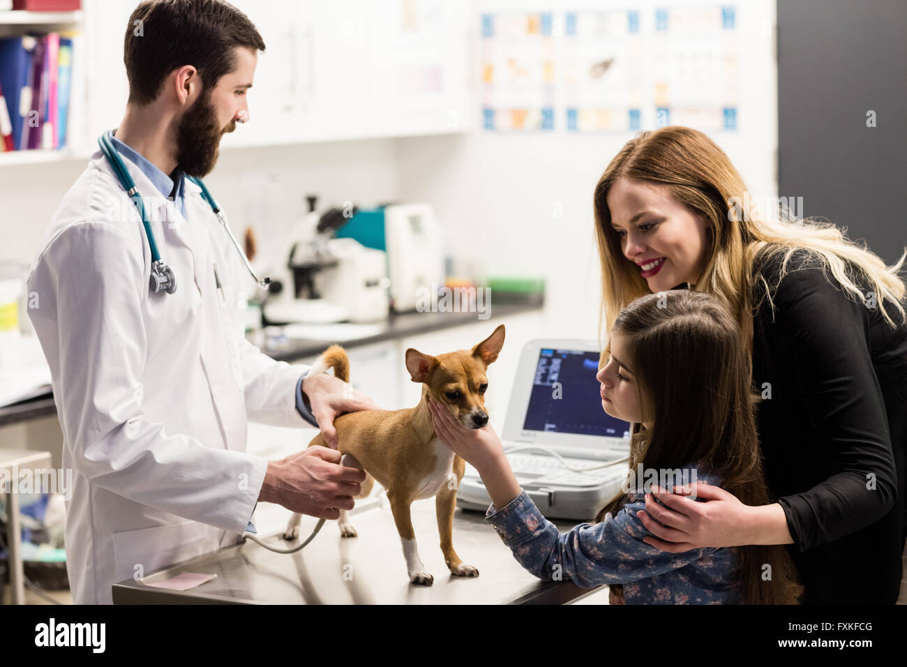 Vet examining a dog with its owner Stock Photo - Alamy