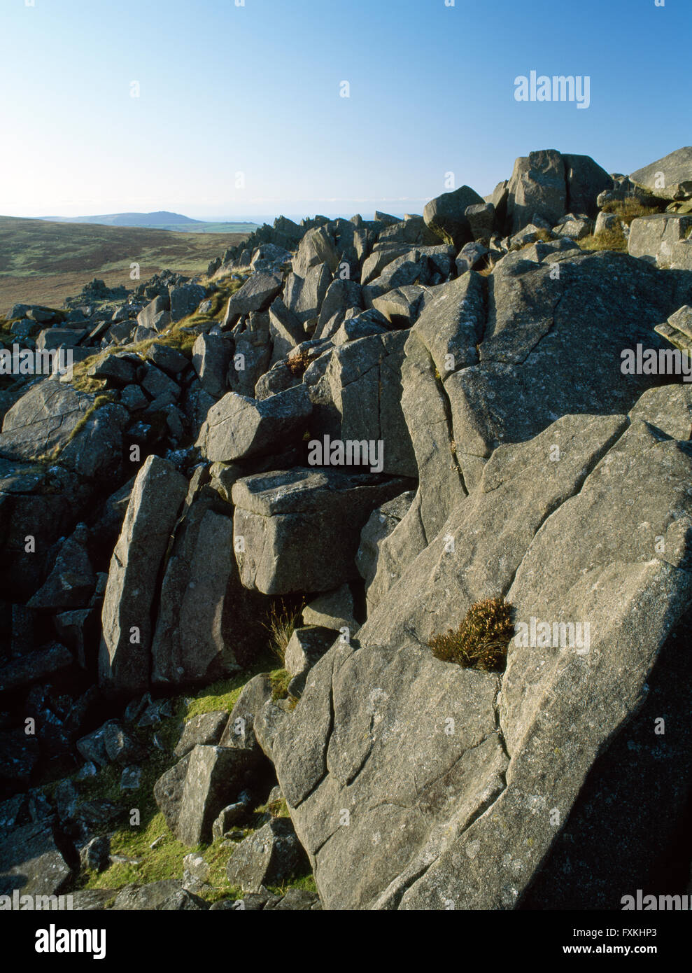 Carn Menyn outcrop, Mynydd Preseli: distinctive blue-grey dolerite used ...