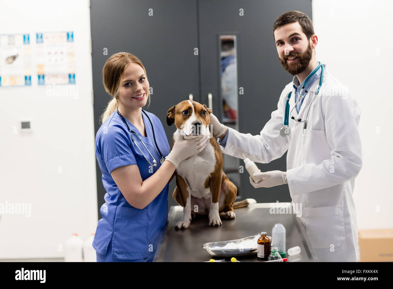 Portrait of smiling vets with dog Stock Photo - Alamy