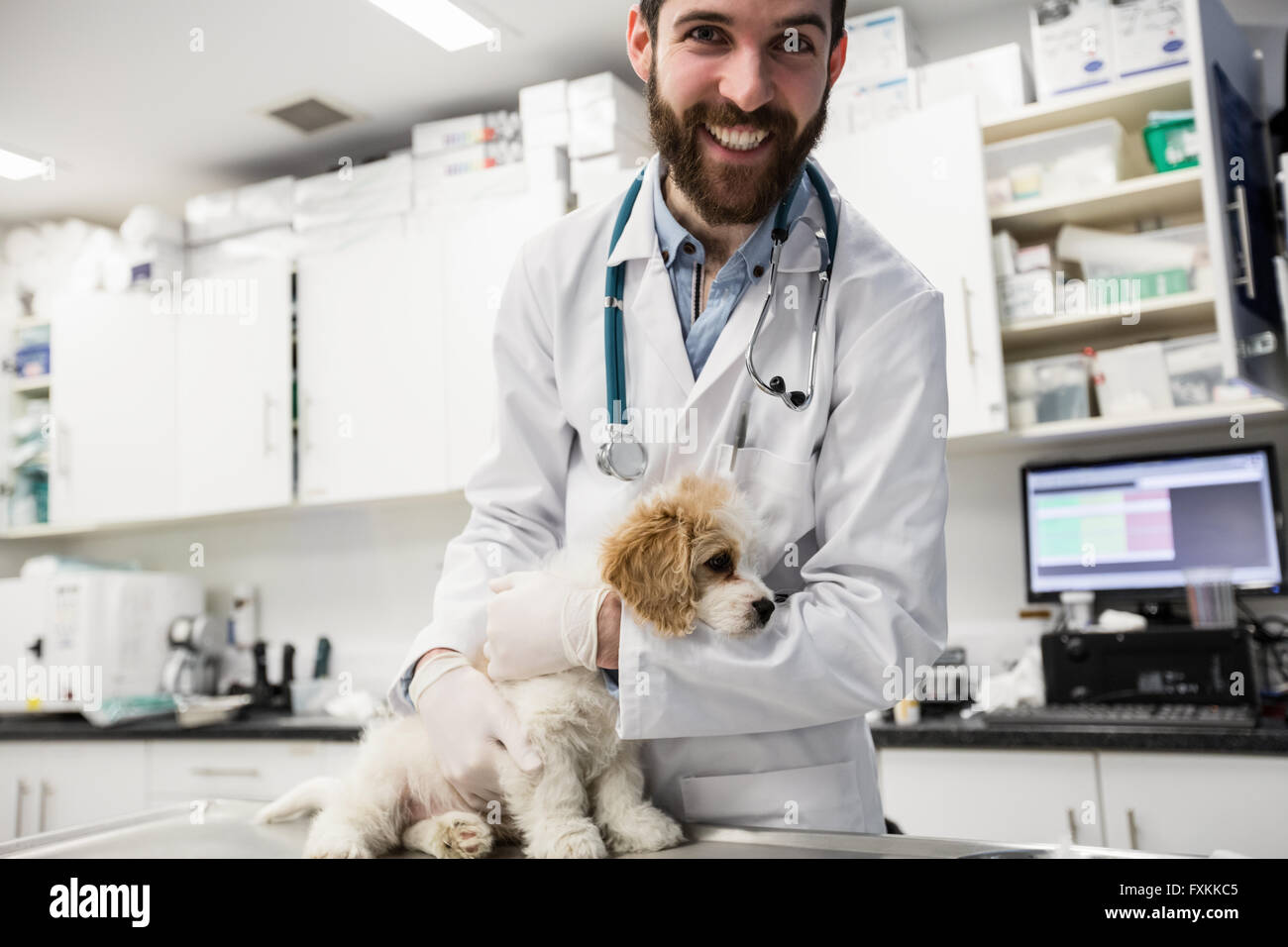Portrait of smiling vet with dog Stock Photo - Alamy