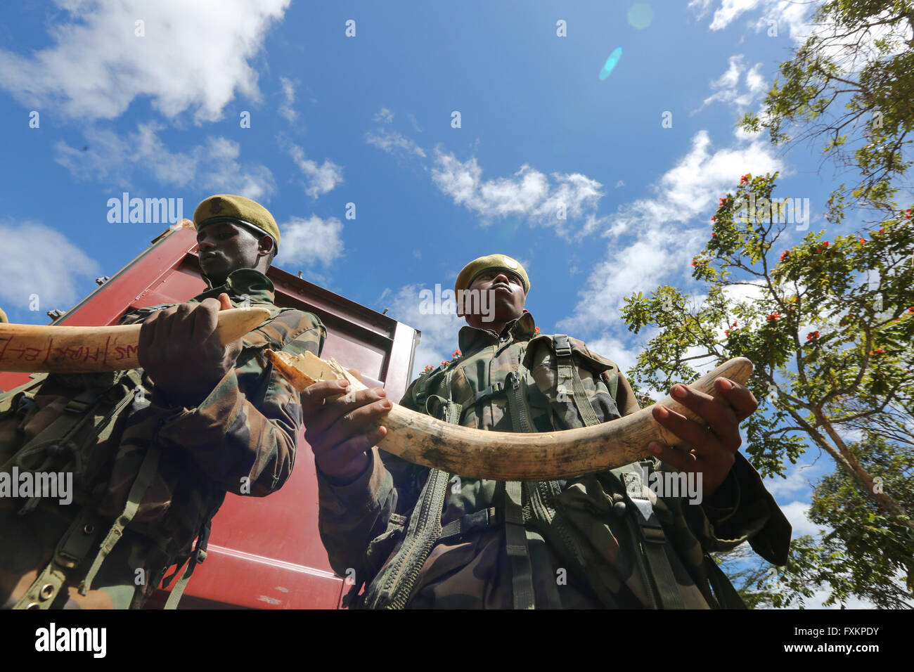 Kenya wildlife service kws rangers hi-res stock photography and images ...