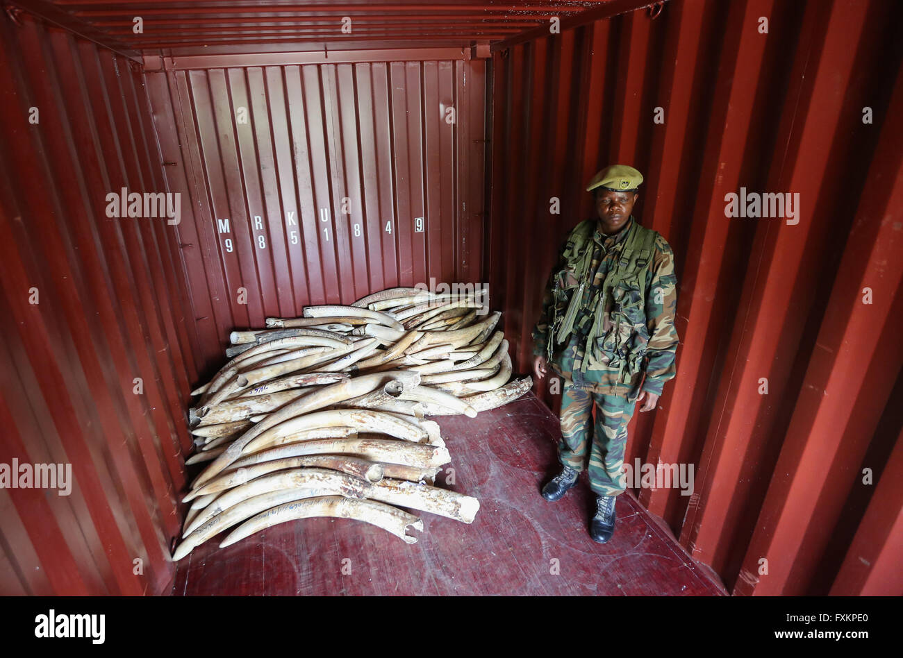 Nairobi, Kenya. 15th Apr, 2016. A Kenya Wildlife Service (KWS) ranger ...