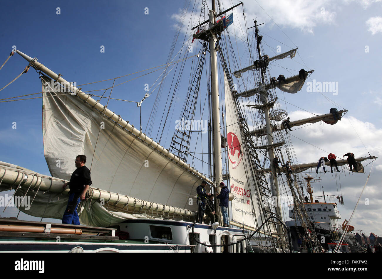 The sail training ship 'Greif' getting rigged at the city harbour of ...