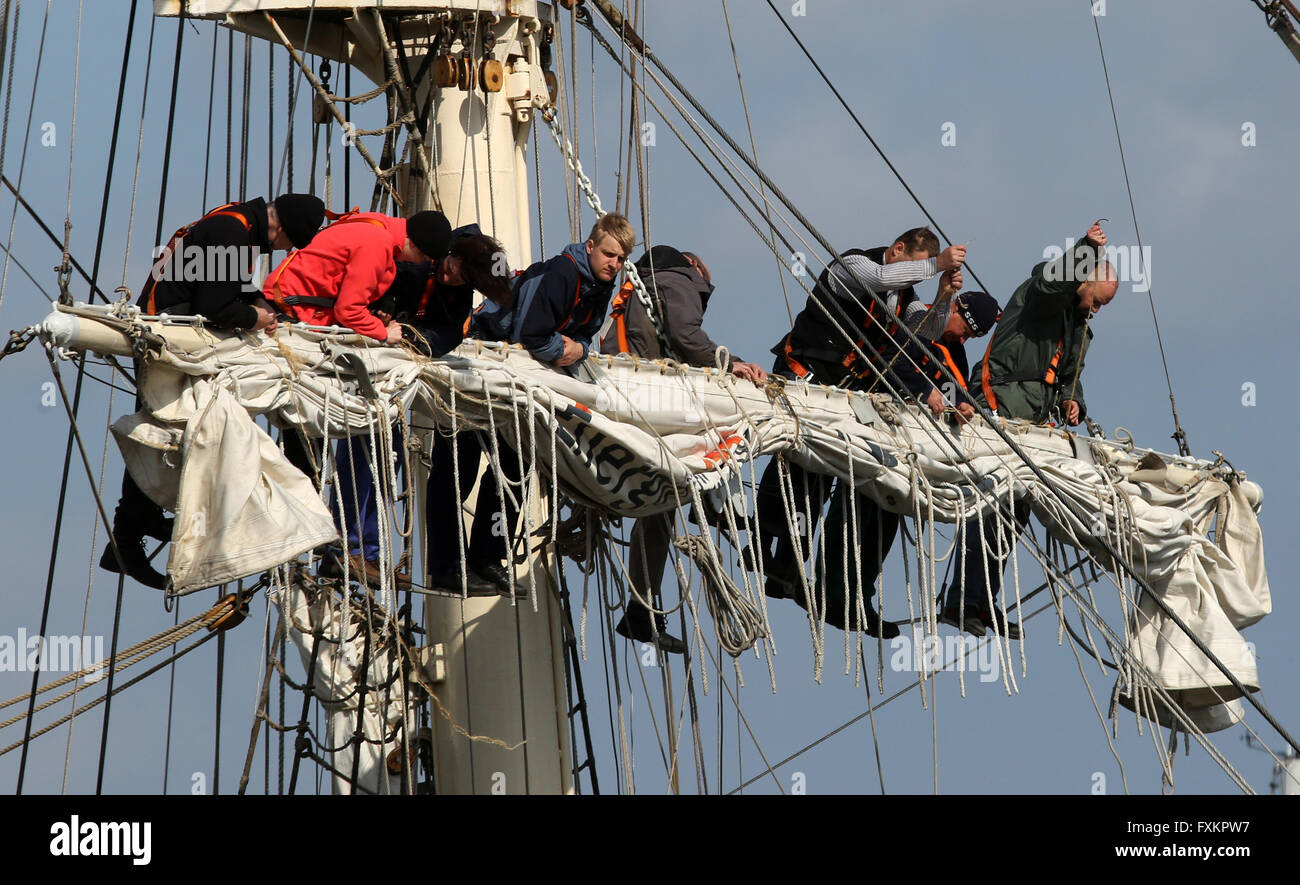 The sail training ship 'Greif' getting rigged at the city harbour of ...