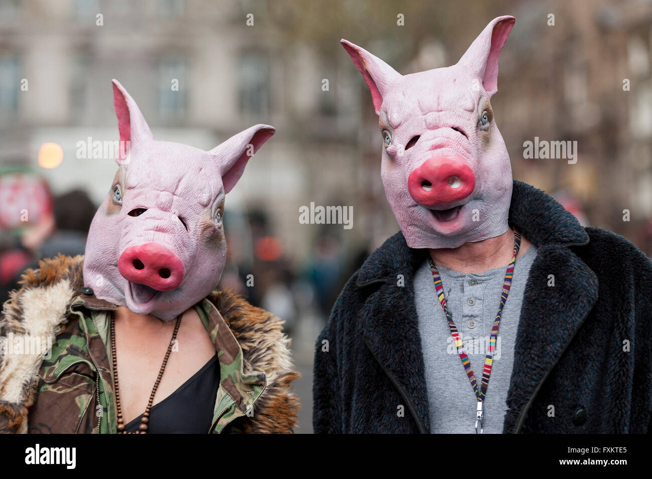 Pig protest trafalgar square hi-res stock photography and images - Alamy
